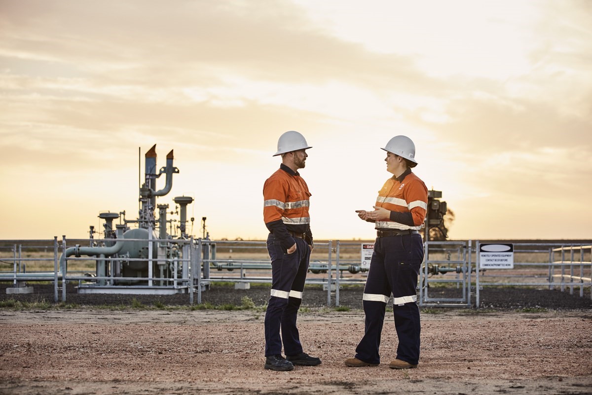 Pathways to net zero - The Origin Blog