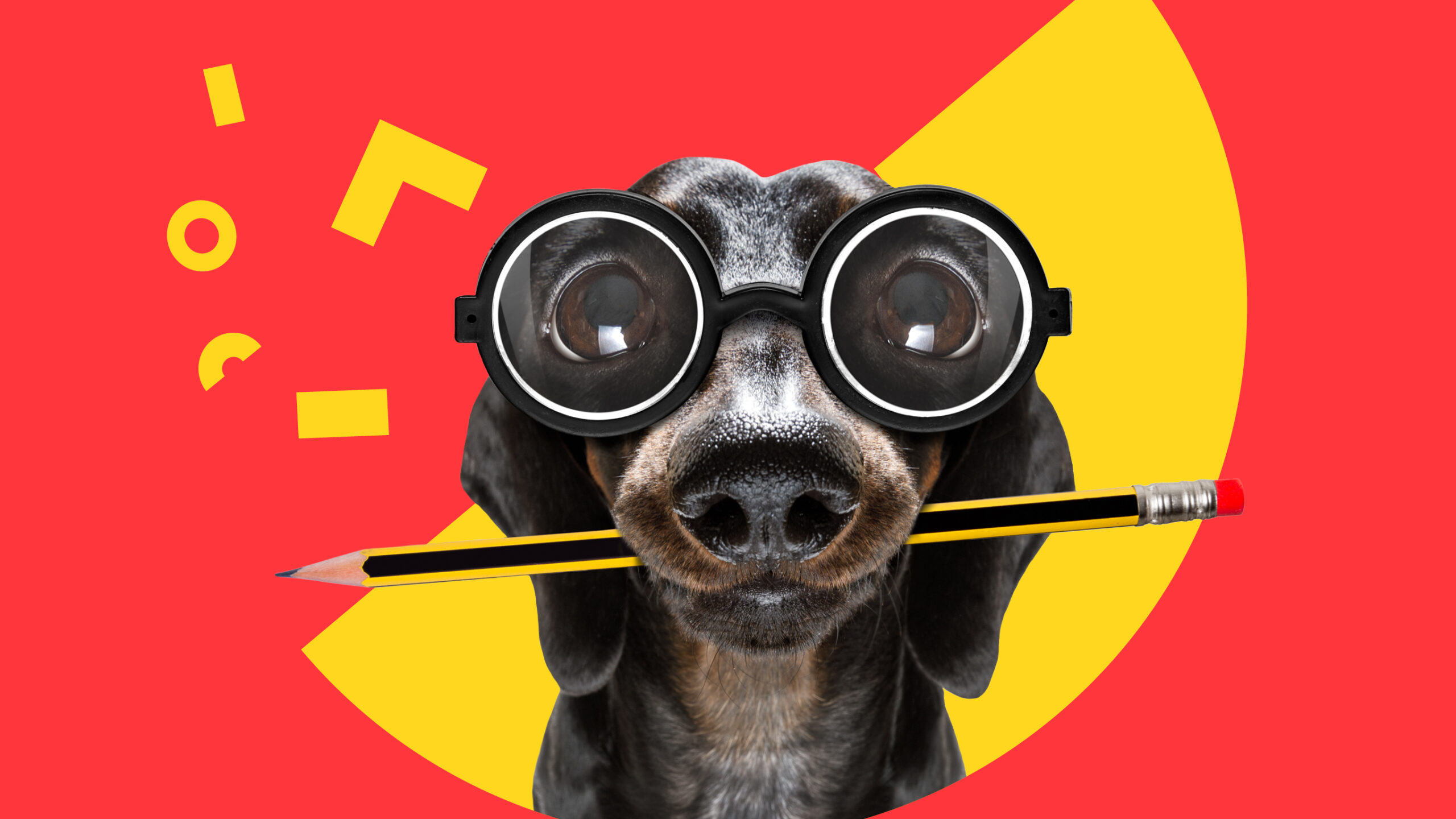 Become an energy whiz