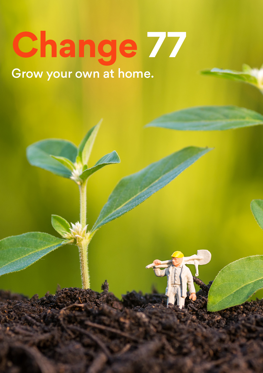 Make your home greener - The Origin Blog