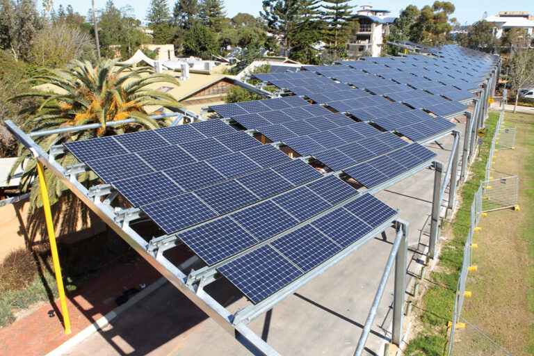 Six impressive solar projects in zoos across the world