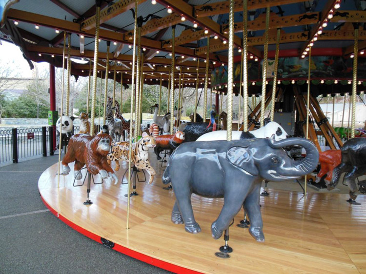 Six impressive solar projects in zoos across the world