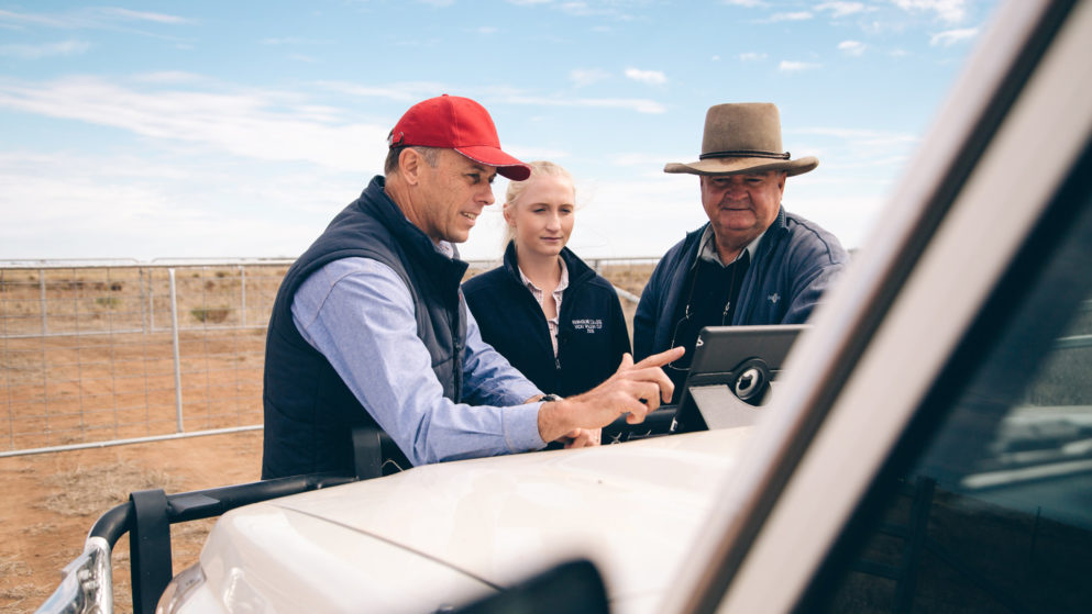 Gate Mate - Origin Energy